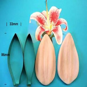 Oriental Lily Cutter and Veiner – Cakedecosupplies
